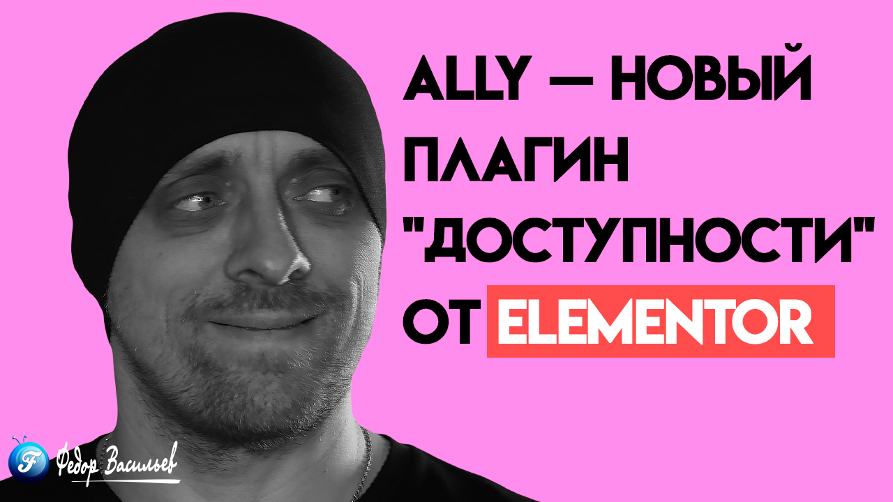 Плагин доступности от Elementor «Ally» 2025 | Школа Федора Васильева
